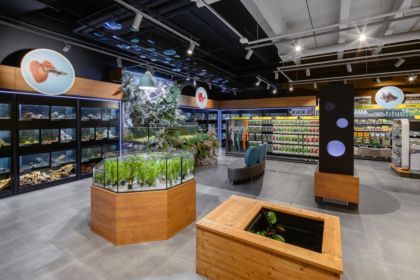 MORIS design si priplával pre ďalšie zlato - miestopredaja.sk